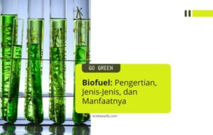 Biofuel Adalah? Pengertian, Jenis, dan Manfaatnya – Ecobeautify ...